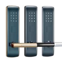 China Electronic Safe M1 Password Door Locks Ic Card Door Lock G2 Gateway for sale