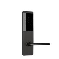 China Keyless FCC App Controlled Door Lock 300mm Digital Main Door Lock for sale