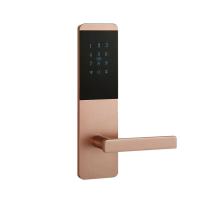 China Electronic App Controlled Lock Security Password Digital Key Apartment Smart Door Lock for sale