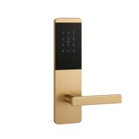 China Electronic App Controlled Lock Security Password Digital Key Apartment Smart Door Lock for sale