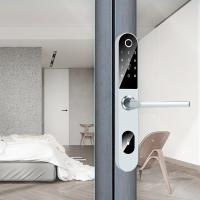 China AAA Alkaline Sliding Glass Door Smart Lock Home 50mm App Fingerprint for sale
