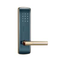 China G2 Gateway Intelligent Door Lock Keyless M1 Card Unlock for sale