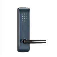 China FCC Black Electronic Smart Door Locks 3kg Password Home Apartment for sale