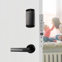 China Apartment Home Digital Door Lock Smart Intelligent Lock with Electric Card TT Lock APP for sale