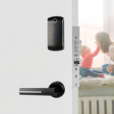 China Apartment Home Digital Door Lock Smart Intelligent Lock with Electric Card TT Lock APP for sale