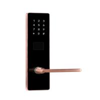 China Wireless Smart Keypad Door Lock 300mm Home App Access Control for sale