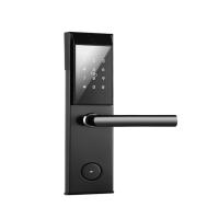 China Ss Apartment Smart Door Lock PMS Smart House Lock TT Lock APP Control for sale