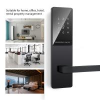 China black FCC CE ROHS BLE Wifi Keypad Door Lock For Home Apartment for sale