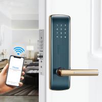 China FCC Black Electronic Smart Door Locks 3kg Password Home Apartment for sale