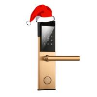 China Electronic WiFi App Sus304 Wifi Front Door Lock Smart Home Alkaline Batteries for sale