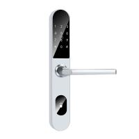China Smart Home Card password Glass Door Lock Keyless Intelligent Door Lock Smart For Door for sale
