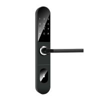 China 300mm Sliding Door Smart Lock AAA Alkaline Bluetooth Sliding Door Lock for sale