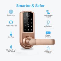 China 4xAA Wifi Electronic Door Lock Dynamic Password With Alkaline Battery for sale