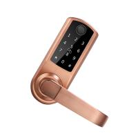 China Keypad Biometric Fingerprint Door Lock 120mm Thickness With App for sale