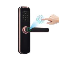 China Digital Biometric Keyless Smart Fingerprint Door Lock Wifi BLE For Home for sale