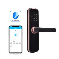 China FPC Fingerprint WiFi Door Lock Thumbprint Biometric 0.1S Keyless for sale