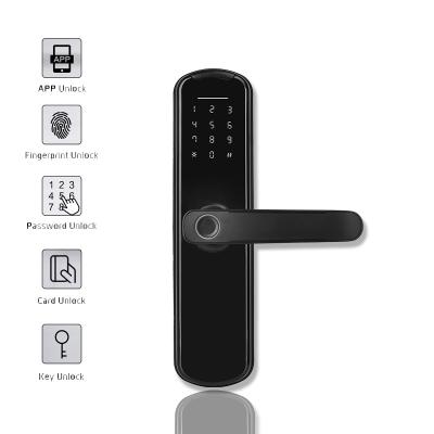 China TTlock App Controlled Smart Lock Key Pad SU304 DC6V With Handles for sale