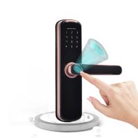 China Keypad Fingerprint Intelligent Door Lock Tuya App WIFI DC6V  For Home for sale
