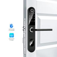 China Slim Mortise Smart Fingerprint Door Lock 4xAAA Alkaline Battery TT APP for sale