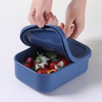 China Factory Direct Microwave-Safe Silicone Food Storage Containers - Silicone Fruit Box, Snack & Lunch Box for B2B Wholesale for sale
