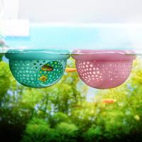 China Fish tank floating feeding ring creative aquarium landscaping set feeding device for sale