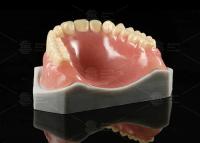 China Lucitone 199 Full Denture Acrylic Teeth Heat Curing Acrylic Complete Denture for sale