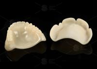 China 3D Printed Dentures Try In Bio Compatible A1/A2/A3 Perfect Fit And Occlusion for sale