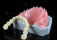 China Professional Dental Practice Milled Acrylic Denture with CAD/CAM Technology for sale