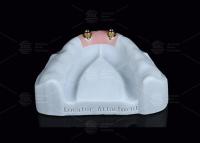 China Titanium Locator Dental Attachments For Overdentures In Silver And Gold Finish for sale