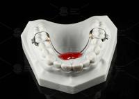 China Stainless Steel Orthodontic Nance Appliance Horseshoe Design Orthodontic Appliances for sale