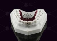 China Hygienic Tongue Crib Appliance Kids / Teens Tongue Guard Orthodontic for sale