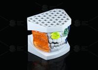 China Frankel Ⅲ Malocclusion Orthodontic Functional Appliance 13-16 Hours During Night for sale