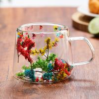 China 200ml Double Wall High Borosilicate Glass Coffee Mug with Dry Flower Heat Resistant for sale