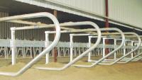 China Floating Neck Rail Flexing Loops Dairy Cattle Freestall System 3mm Steel 4 Positions for sale