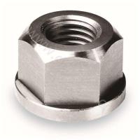 China Carbon Steel Stainless Steel 304 316 DIN934 ASTM Hex Jam Nuts Zinc Finish M6 M8 M10 for sale