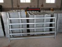 China Dairy Cattle Freestall System 3mm Carbon Steel 3-6 Positions Customizable Livestock Fencing for sale