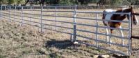 China Dairy Cattle Freestall System 3mm Carbon Steel 3-6 Positions Customizable Livestock Fencing for sale