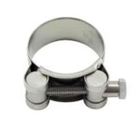 China Custom Steel Stainless Steel Hose Clamps for Industrial Use 8mm to 50mm for sale