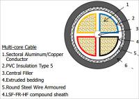 China RSW Armoured LSF-FR-HF Multi Core Copper Cable 0.6/1kV with XLPE Insulation - 2.5mm² to 300mm² Cross Section for sale