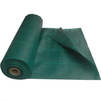 China Biodegradable weed mat ,anti grass pp plastic plant ground cover for sale