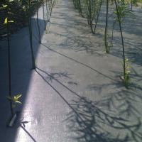 China PP Woven Weed Barrier Mat 90gsm UV Treated Ground Cover Fabric for Agriculture for sale