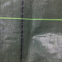 China PP Woven Anti Weed Mat 90gsm Black Plastic Mulch Film Ground Cover 1m x 50m for sale