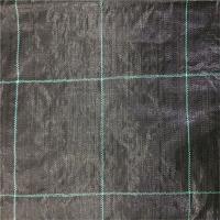 China PP Woven Anti Weed Mat 90gsm Black Plastic Mulch Film Ground Cover 1m x 50m for sale