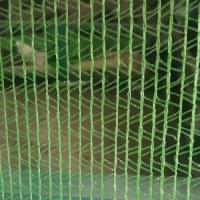 China 100% Virgin HDPE Sun Shade Net 1-5m Width 30-350gsm UV Protected Agricultural Shade Netting for sale