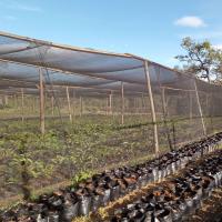 China HDPE Sun Shade Net 1-6m Width 30-100% Shade Rate for Greenhouse Agriculture for sale