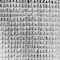 China Customizable HDPE Shade Net for Agriculture 1-6m Width 100m Length UV Stabilized for sale