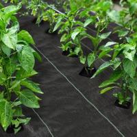 China Woven Polypropylene Anti Weed Mat 90gsm UV Treated Ground Cover Fabric 0.5m-5m Width for sale