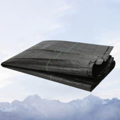 China PP Woven Weed Barrier Ground Cover Fabric 90gsm UV Treated 0.4m-6m Width for sale