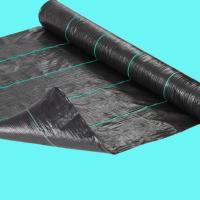 China PP Woven Weed Barrier Ground Cover Fabric 90gsm UV Treated 0.4m-6m Width for sale