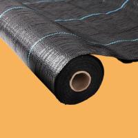 China Black Spunbond Non Woven Ground Cover Weed Barrier Fabric 90gsm UV Resistant 1.6m Wide for sale